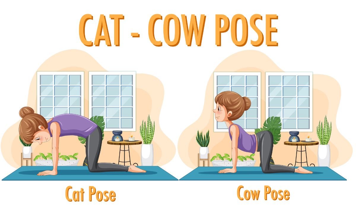 Cat Cow Pose Benefits & How to Do It: Easy Guide for All